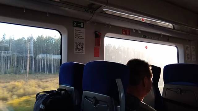 Ленинградская область, из окна "Ласточки", перегон Горы – Пелла