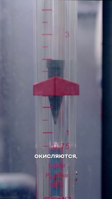 Как вода в бассейне остаётся такой чистой?