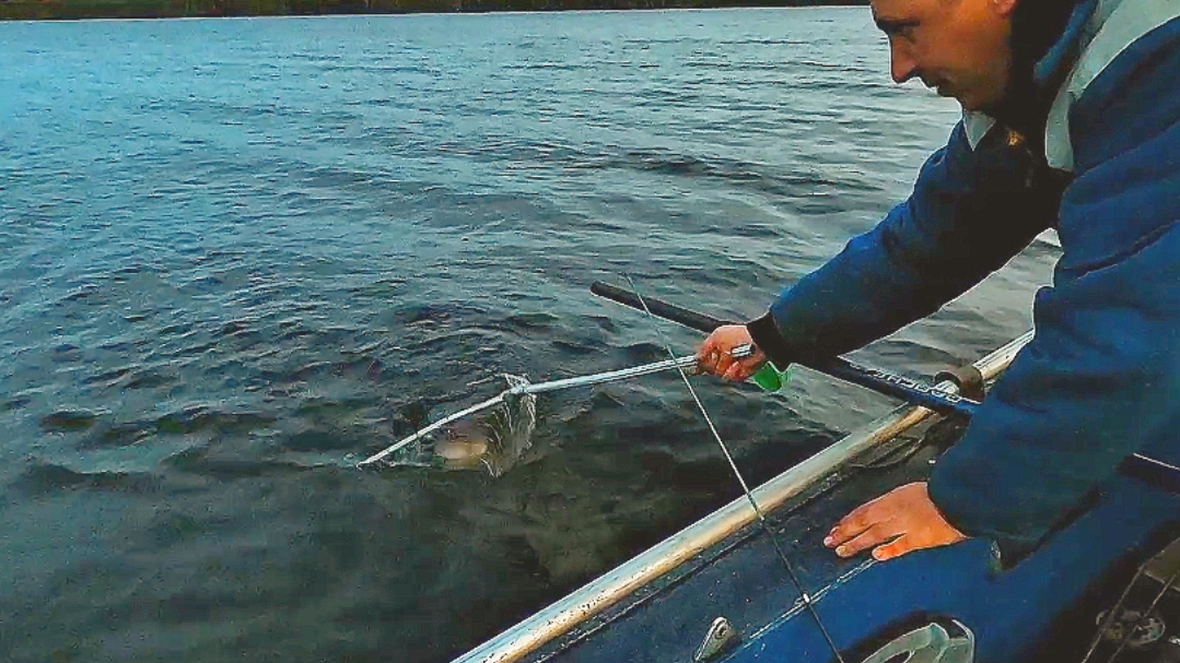 Окунь, лещ, плотва! Рыбалка в Карелии,самая короткая ночь!