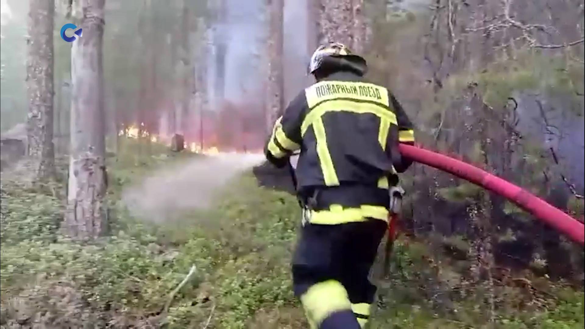 В Карелии сохраняется напряженная лесопожарная обстановка