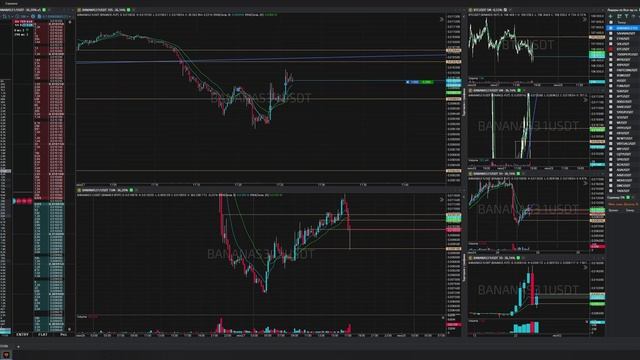61-Bananas31usdt-Long-Profit-27-06-2025-17-25-46