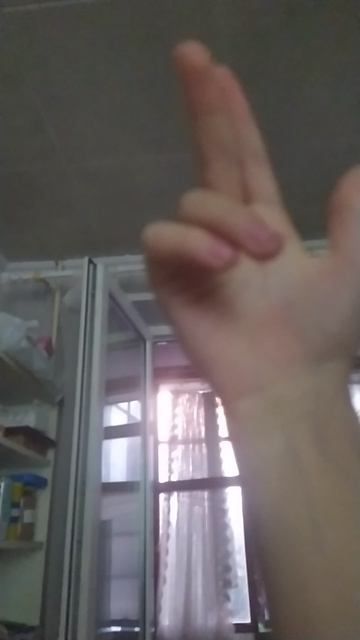 СКИБИДИ ТУАЛЕТЫ В РЕАЛЬНОЙ ЖИЗНИ 2 ЧАСТЬ