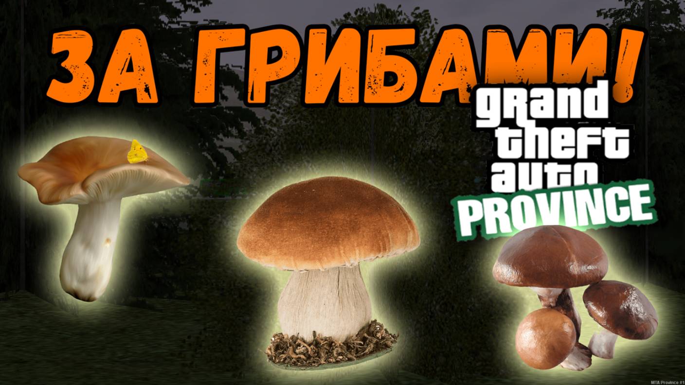 "Грибы. И баг системы..." | MTA PROVINCE