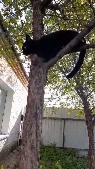 Не хочу я больше быть белкой...