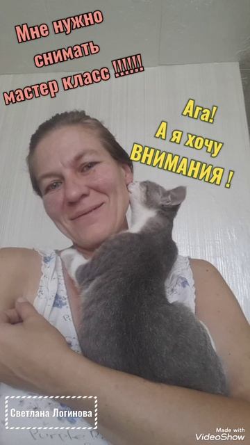 Мой кот не дает мне работать 🤣🤣🤣