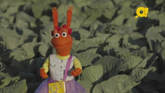 Сажаем огород летом с детьми! Смотрите программу "ТриО" на телеканале "О!"