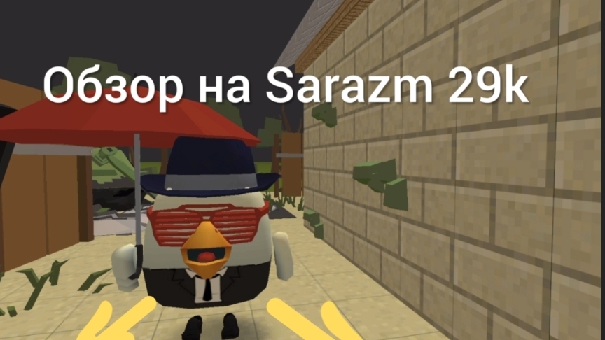 Обзор на Саразм 29к