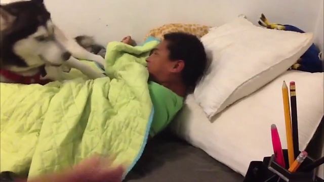 СМОТРЕТЬ ВИДЕО 2025 ПОД НОМЕРОМ 13