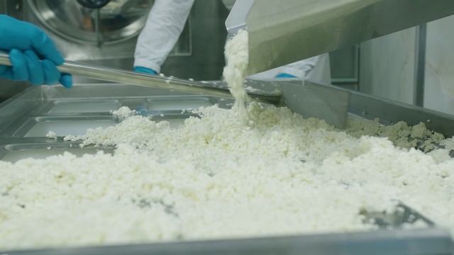 Как делают сыр на заводе?