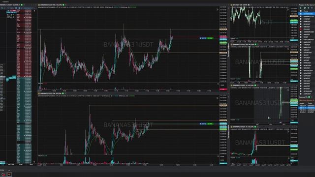 37-Bananas31usdt-Long-Stoploss-27-06-2025-11-36-59