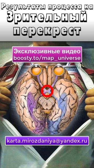 Результаты процесса на Зрительный перекрест