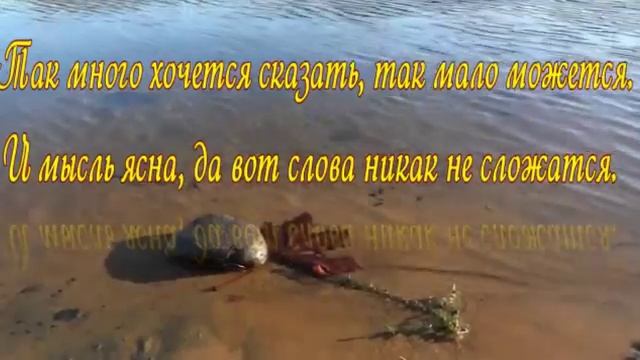 Я ПОЛЮБИЛА ТИШИНУ (Фрагмент муз.композиции+стих)