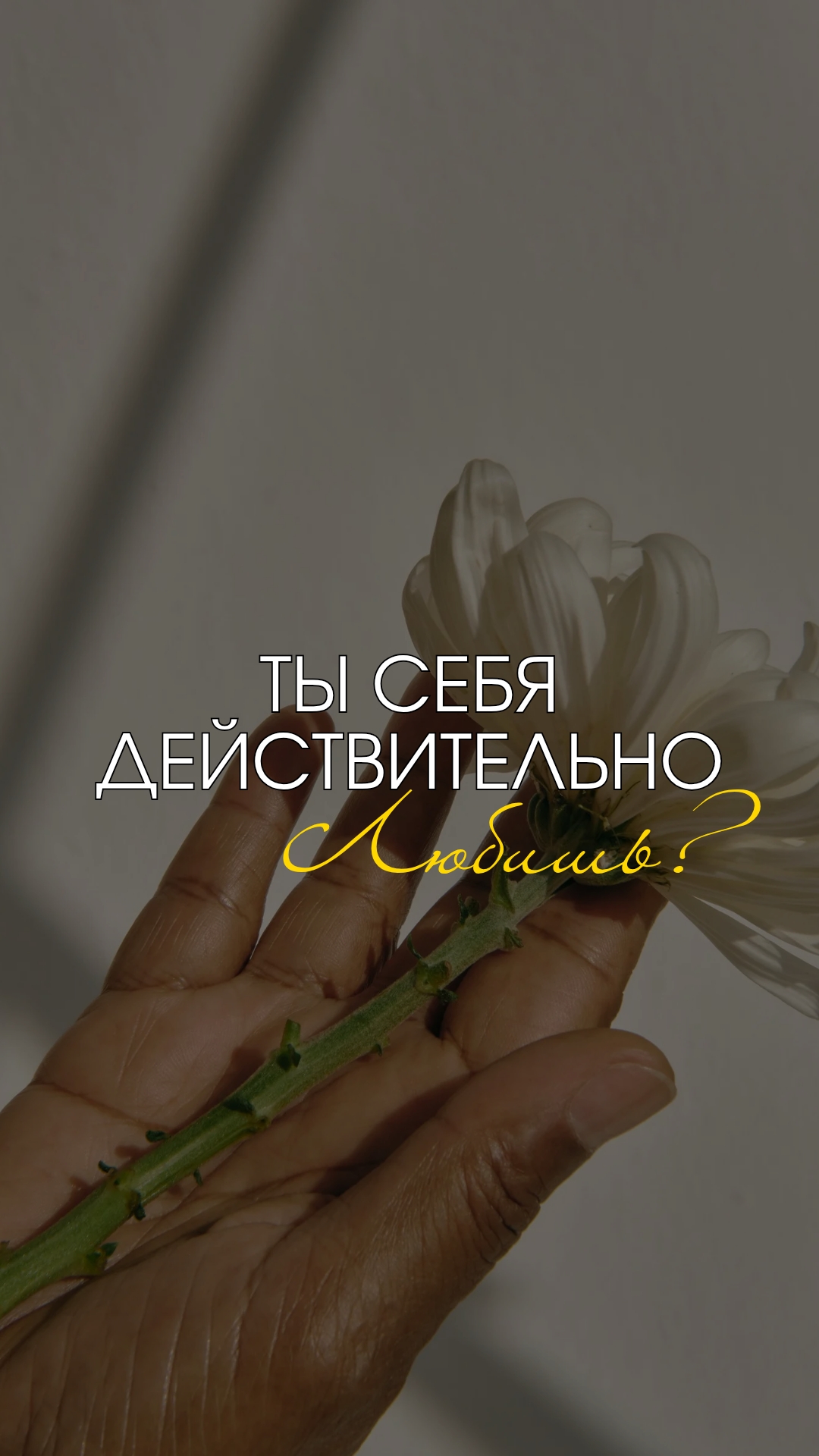 Ты себя действительно любишь?