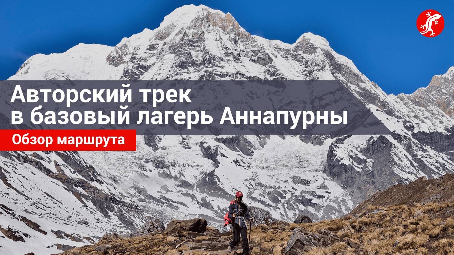 Трек в базовый лагерь Аннапурны: обзор маршрута в Гималаях