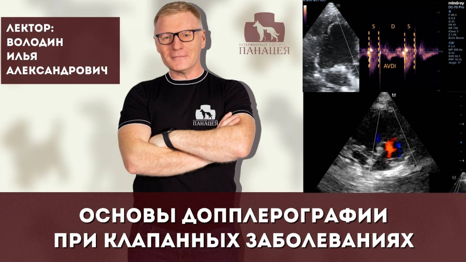 Основы допплерографии при клапанных заболеваниях у животных
