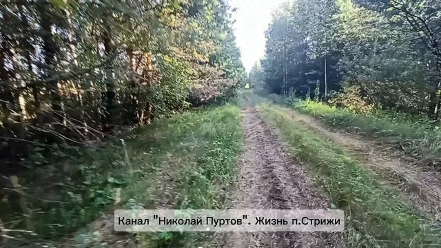 "Пикает",сигналит...на ж.д. станциях круглосуточно...(п.Стрижи)
