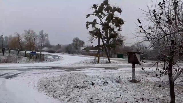 Воспоминания 2020г. Украина. Играем на улице. Готовим борщ. Предновогодняя уборка в доме.