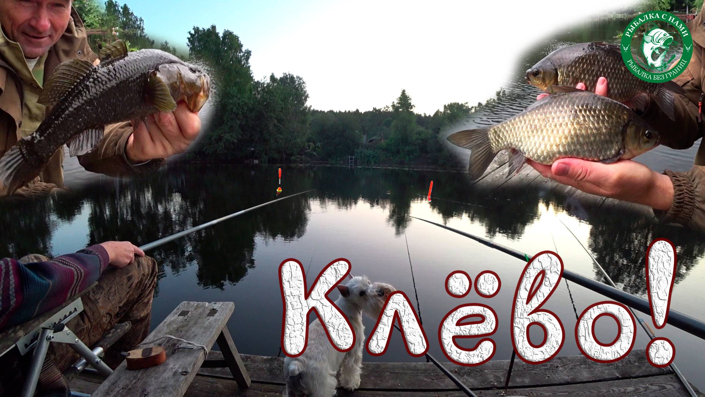 КРУПНЫЙ КАРАСЬ, ОГРОМНЫЙ РОТАН С ПИРСА НА УДОЧКУ, ДЖИГ, ЖИВЦА, ТАГИЛЬСКАЯ ВЕНЕЦИЯ, РЫБАЛКА НА УРАЛЕ!