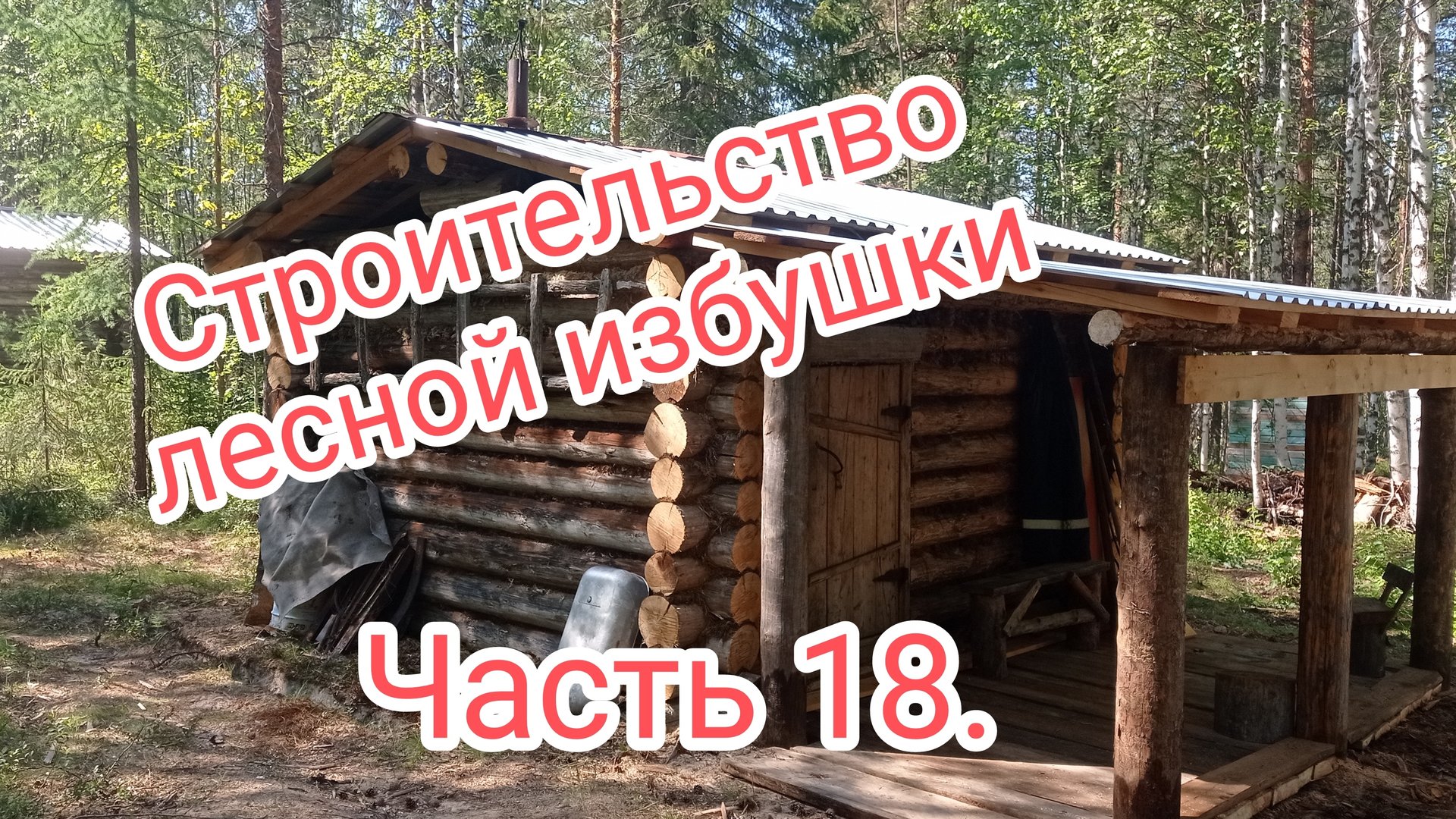 Строительство лесной избушки. Часть 18. Веранда. Морошка.