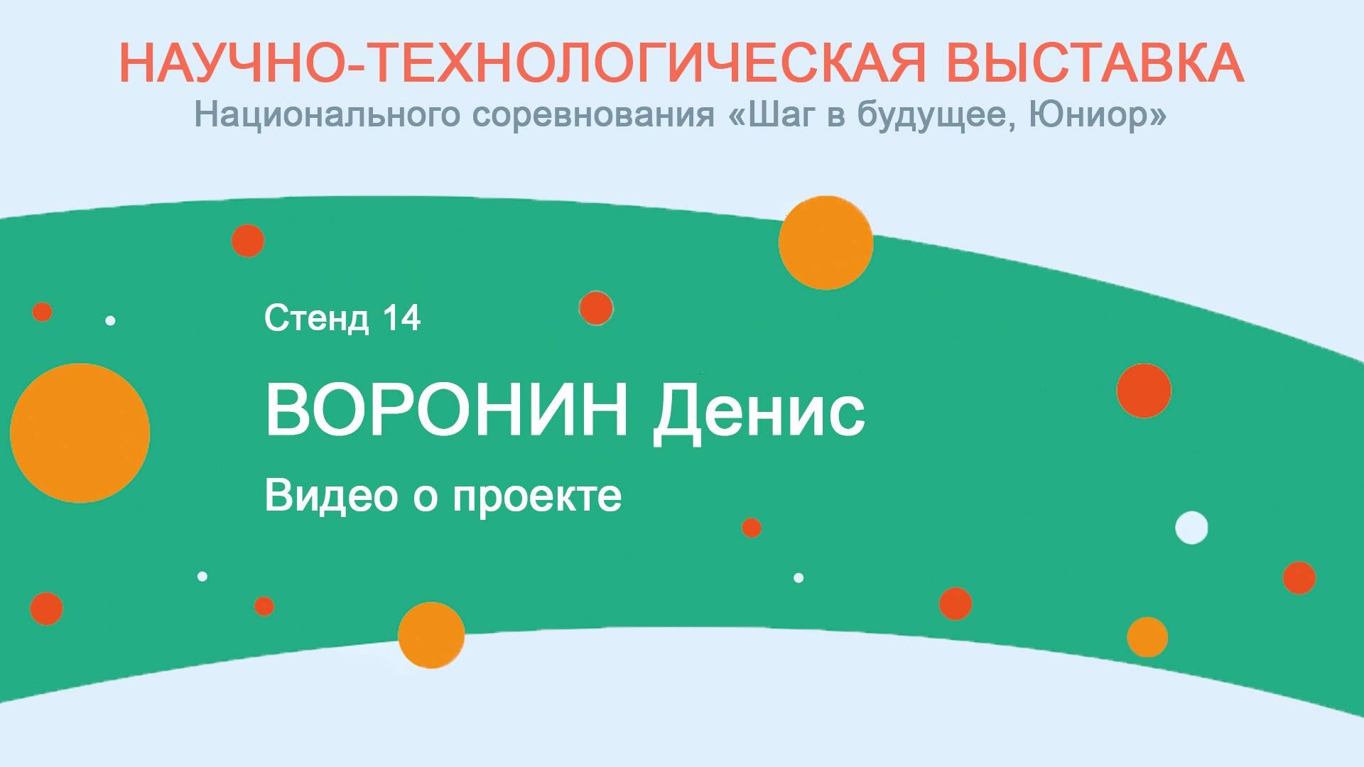 Воронин Денис. Видео о проекте