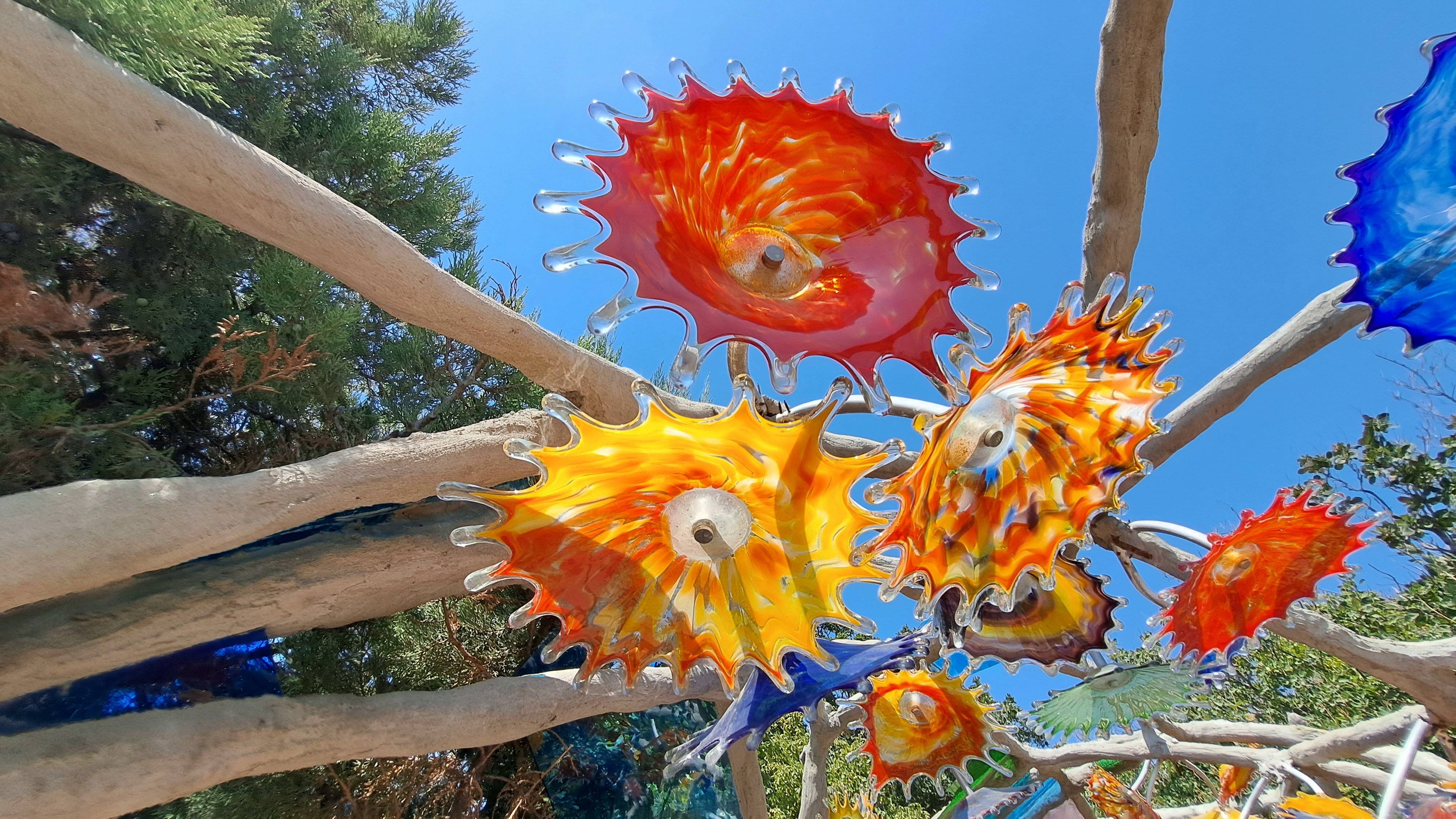 Стеклянный парк на берегу моря (Геленджикский район)