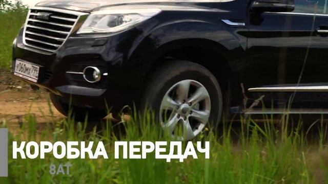 HAVAL для ТВ | Совет дня