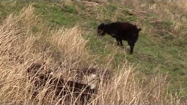 Южная Корея ч. 2. Мировой вояж.