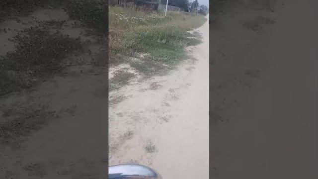 Оборвался стрим