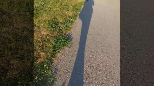 благодать какая надо яблоки пошёл собрал на улицу