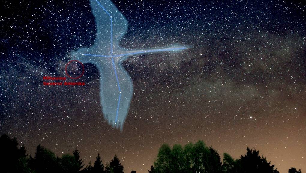 ЛЮБИТЕЛИ ПУТЕШЕСТВИЙ. О представителях цивилизаций, приходящих на Землю с планет 3 и 4 измерений