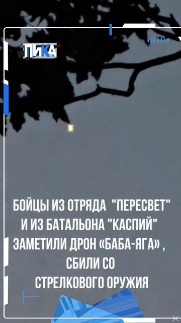 Небесная охота: дрону не скрыться