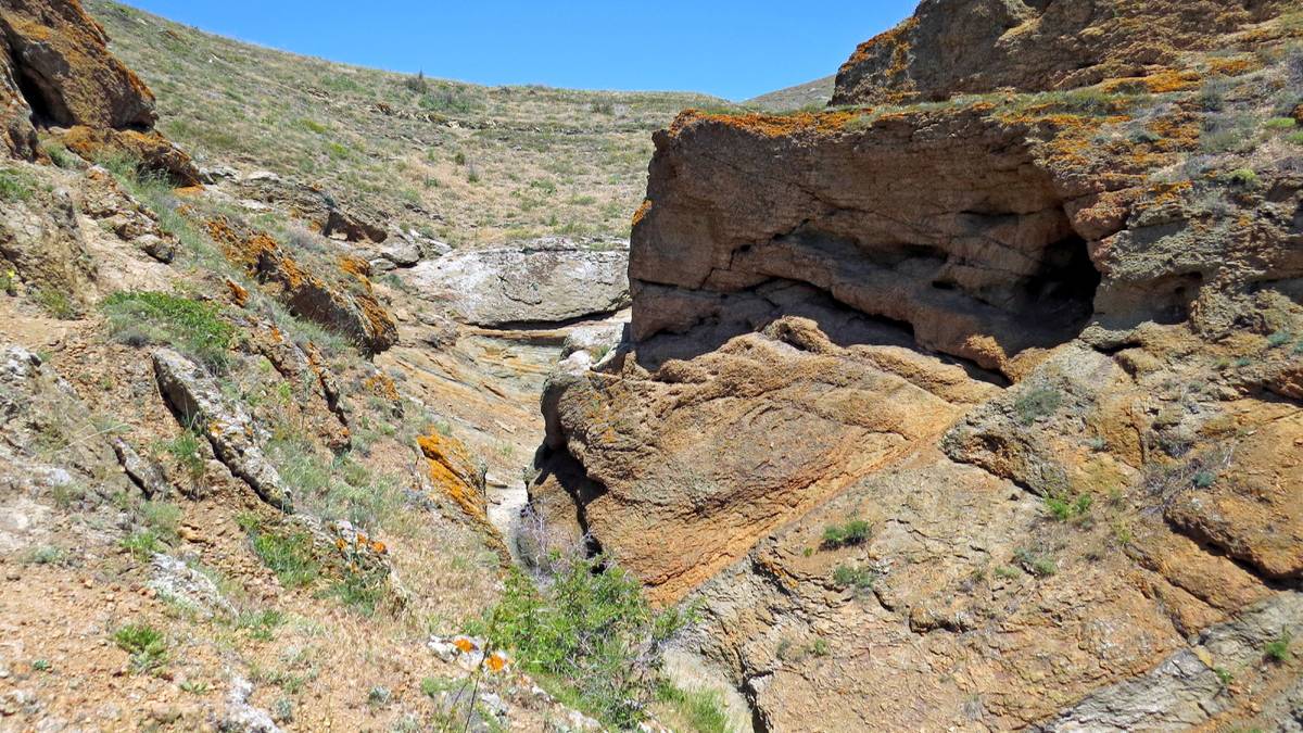 Через каньон Тихой бухты.