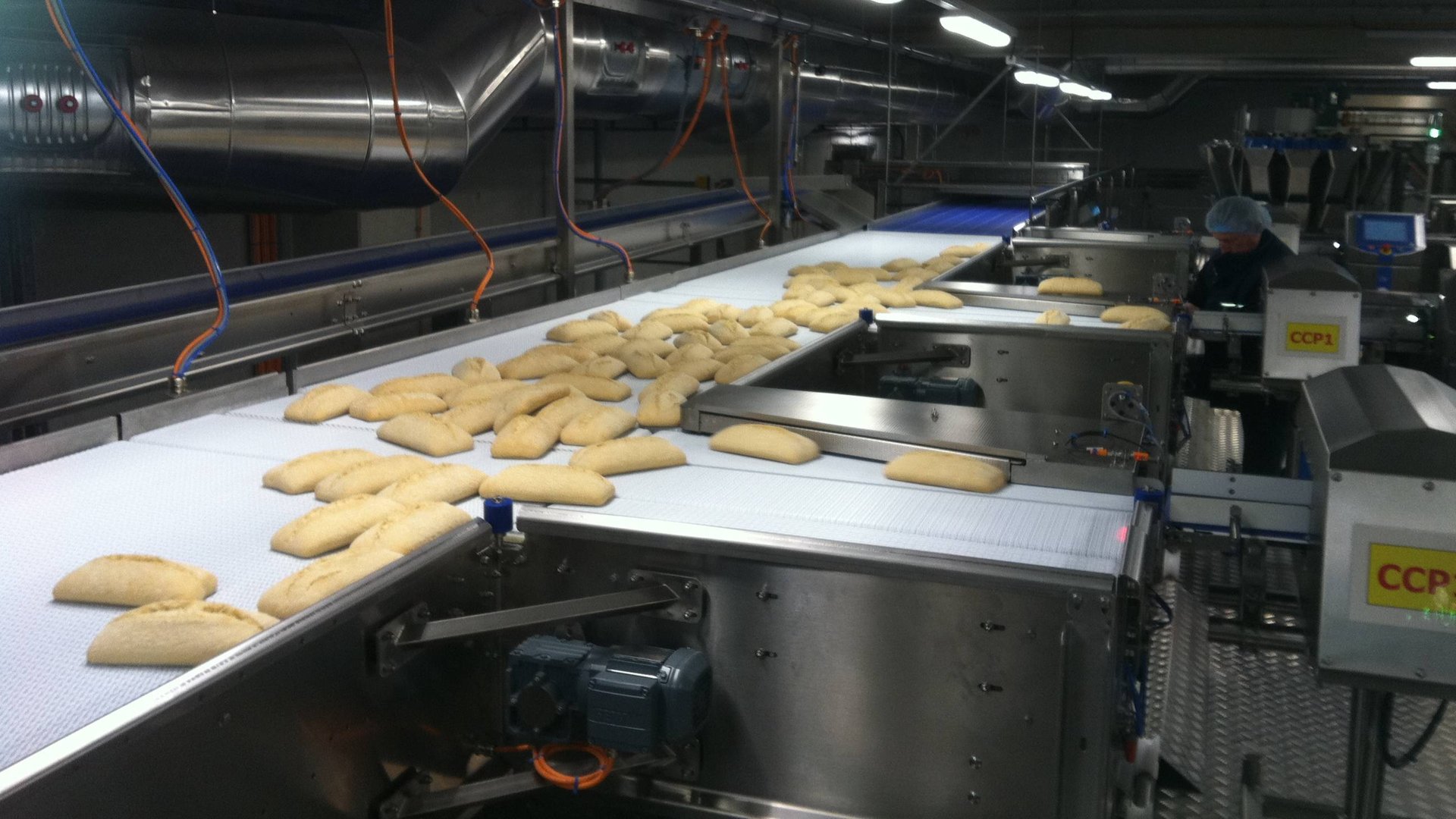 Векторфид чиабатта 2