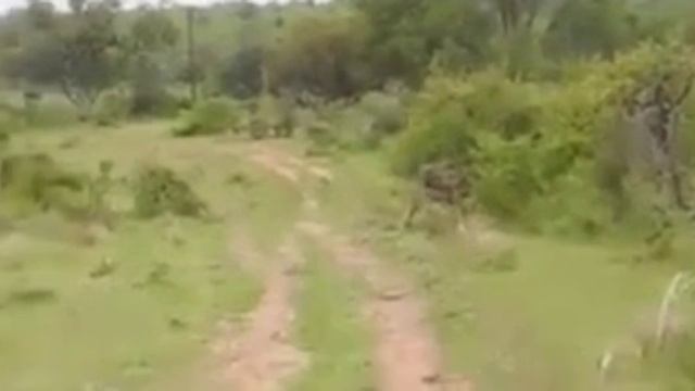 ПОДБОРКА ПРИКОЛОВ 2025 _ ЛУЧШИЕ ПРИКОЛЫ 2025 _ РУССКИЕ ПРИКОЛЫ 2025 _ ТОП ВИДЕО ПРИКОЛЫ 1