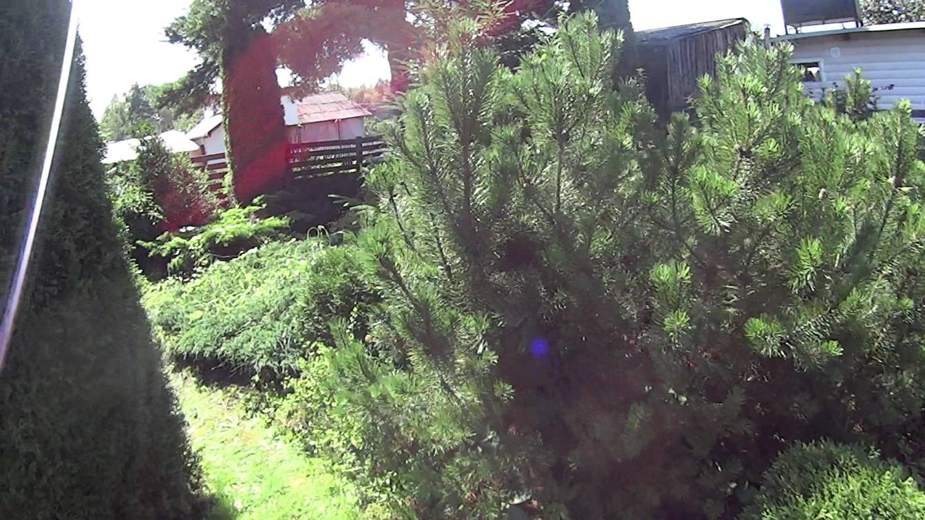 +30°С В тенечке В лесном уголочке Огородные планы