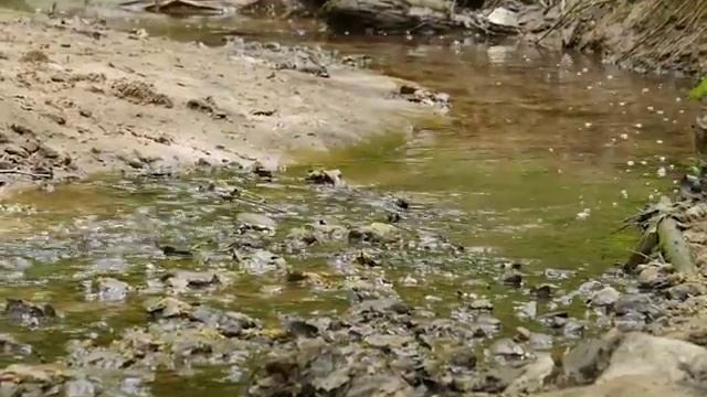 Как правильно выбрать палатку .Экспертиза турпохода. Выпуск 3