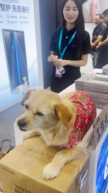 Вирусный маркетинг - как привлечь внимание клиента?