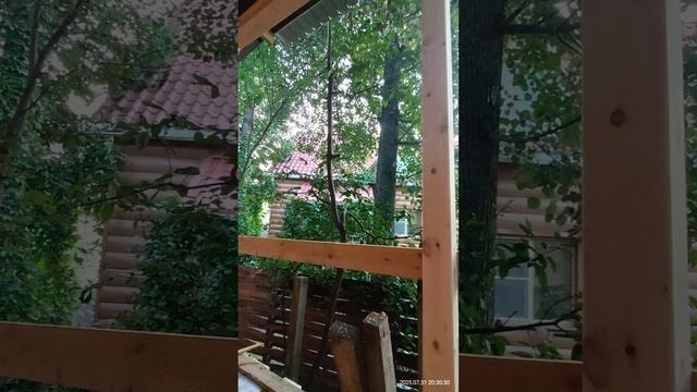 Я в четверг на даче 31 июля 2025 г