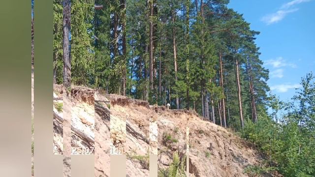 Ширков погост, озеро Вселуг, 2025