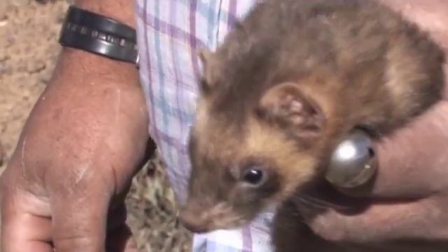 Канарские острава ч. 2. Мировой вояж.