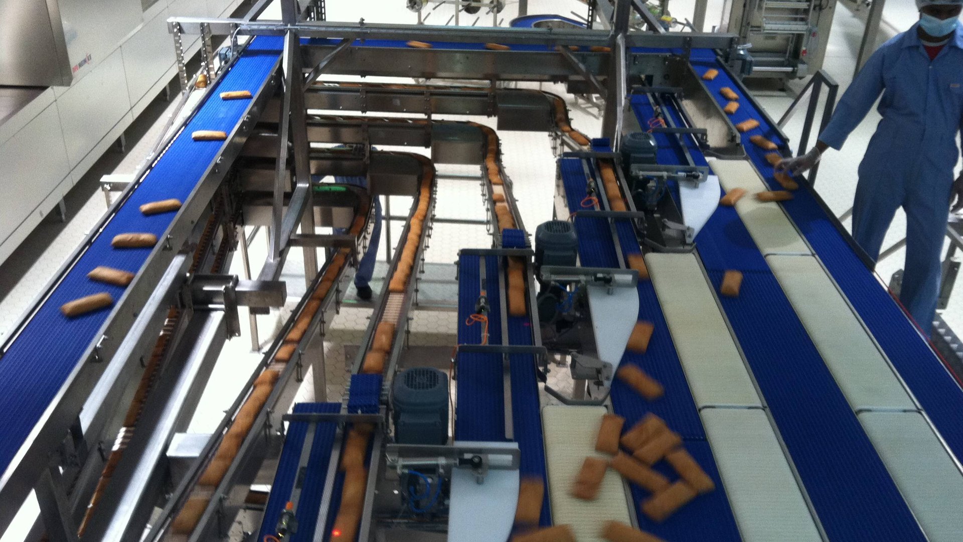 Векторфид выпечка