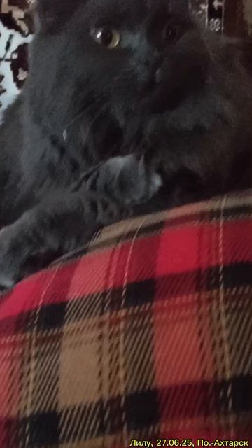 Лилу в Пр.-Ахтарске