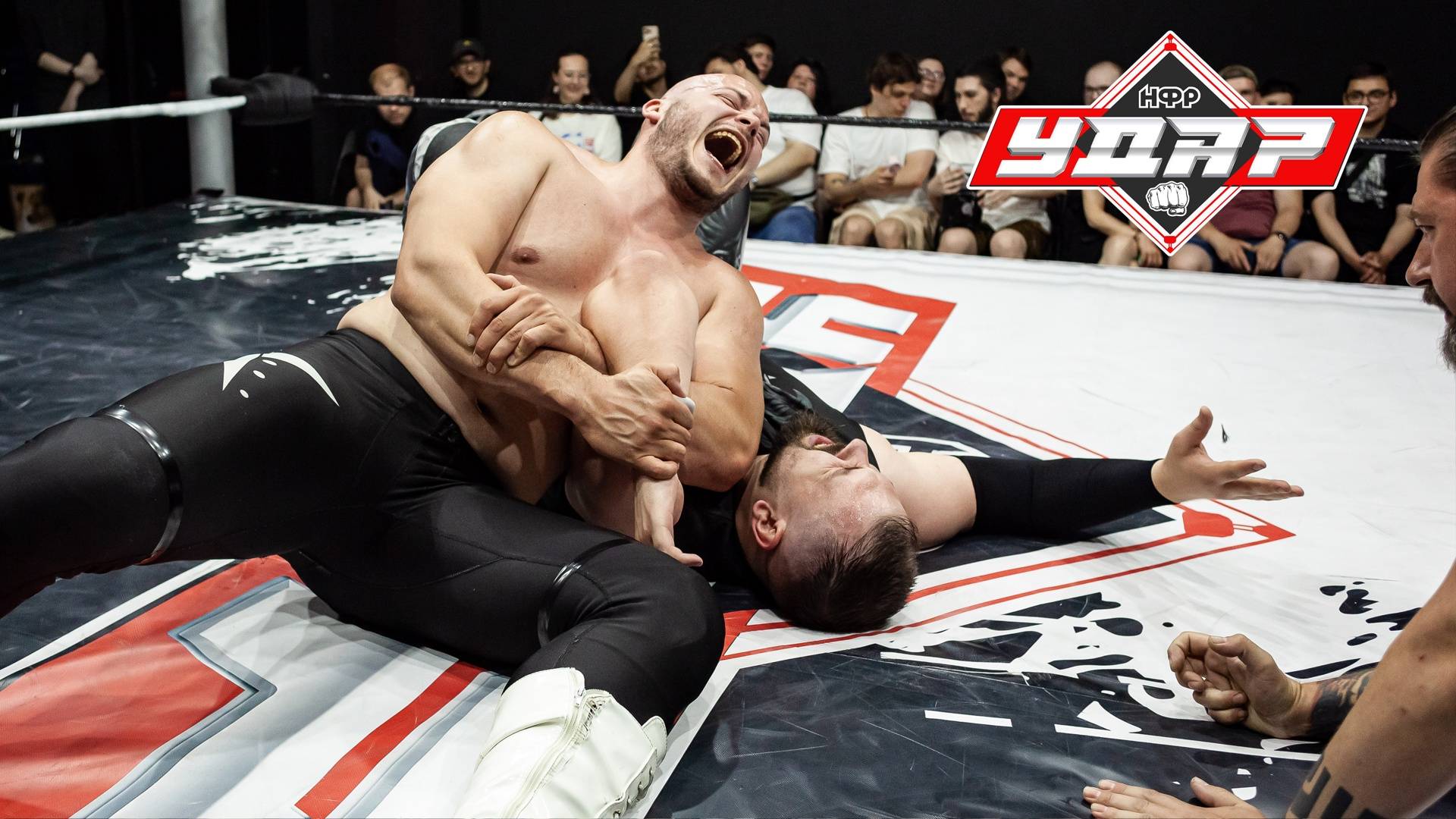 НФР УДАР 240 | Орлов против Державина | Женский треугольник | Командный матч "Охоты"