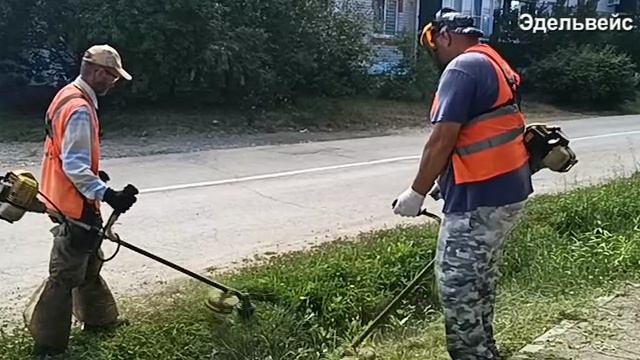 Покос сорняков