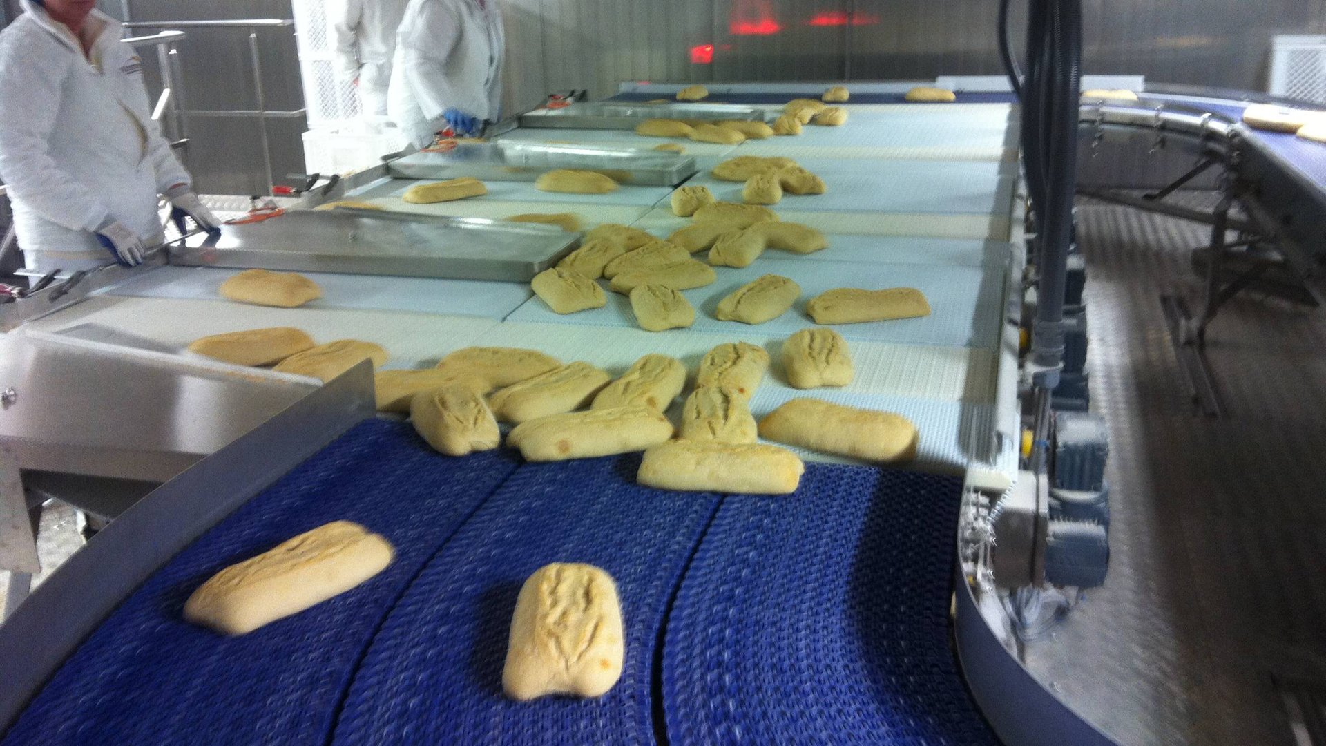 Векторфид чиабатта 1