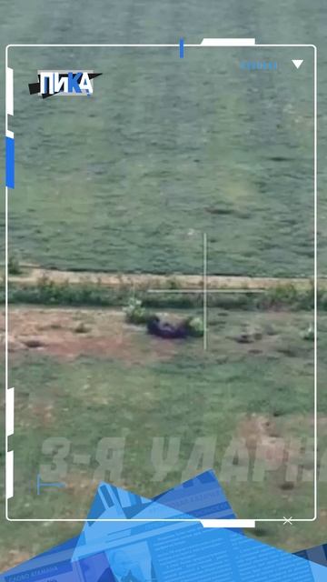 Казачий гром грянул: враг уничтожен