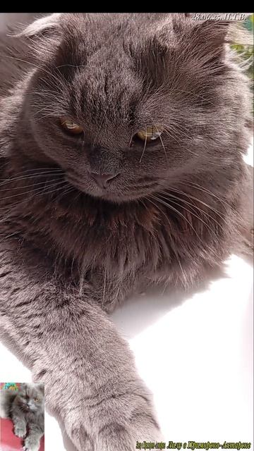 Ахтари под наблюдением