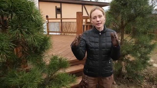 Совет дня. Сборка теплицы