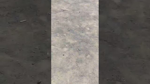 как мы катаемся без рук на велосипеде и с руками