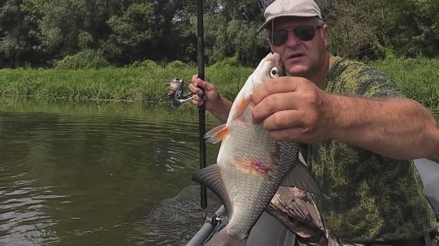 Рыбалка с ночёвкой, на Горох и пшеницу.